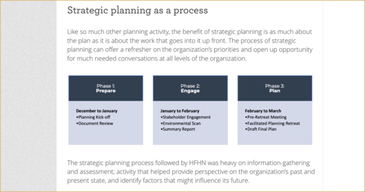 Strategic Planning for Nonprofits: A Guide to Future Success : Laridae