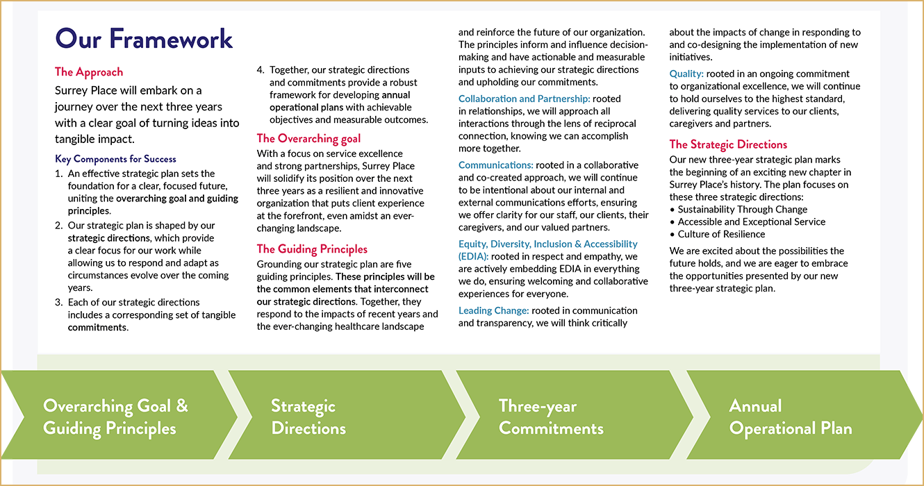 Strategic Planning for Nonprofits: A Guide to Future Success : Laridae